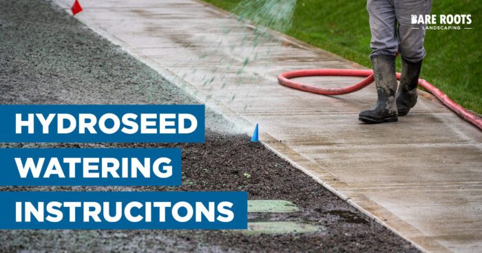 Hydroseed Watering Instructions - Bare Roots Landscaping